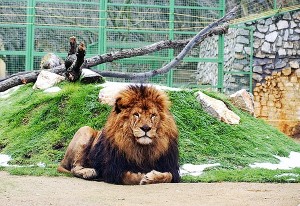 Zoo - Budapest Travel Guide